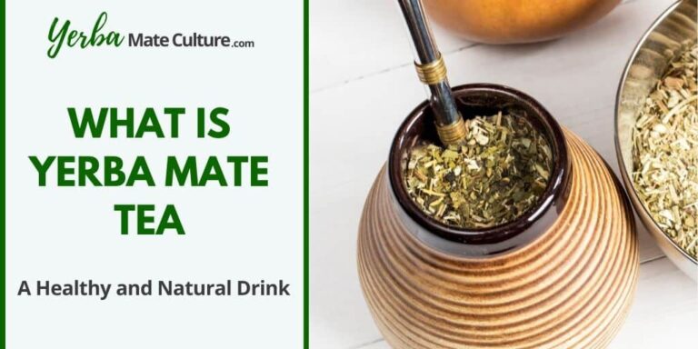 Yerba Mate: Benefits, Preparation & Why Footballers Love It